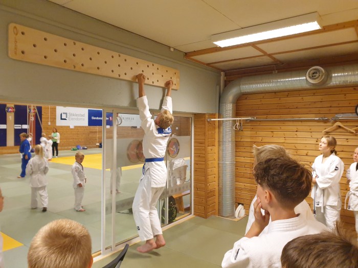 SOMMERSKOLEN DAG 3 – Levanger Judo og BJJ